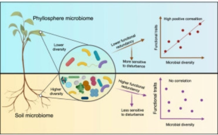 phyllosphere의 microbiome은 토양보다 인위적 교란에 더 민감 : 네이버 블로그