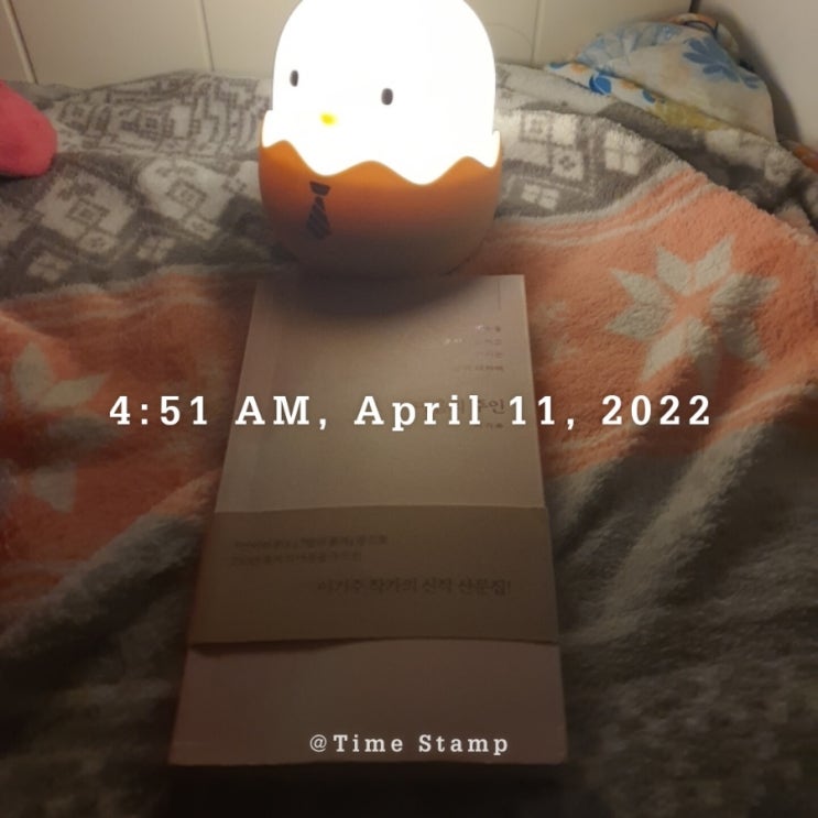 미라클 모닝 MKYU 김미경과 함께하는 굿짹월드 514챌린지 4월 : 네이버 블로그