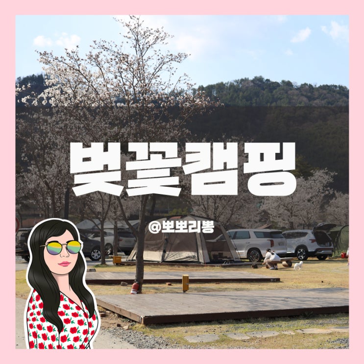 벚꽃캠핑 청도 캠프안단테 경북 오토캠핑장 캐빈와이드 By 캠핑오지라퍼 뽀뽀리뽕 네이버 블로그