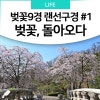 1~3경 중앙공원분당보건소남한산성 벚꽃9경 랜선구경1 벚꽃 돌아오다 네이버 블로그