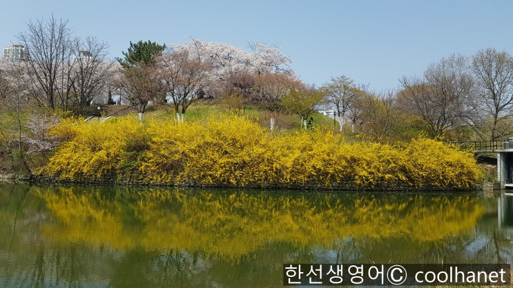 라이너 마리아 릴케 영어명언 주어 동사 수 일치 유도부사 There 도치구문 A·the Number Of 복수명사 수일치