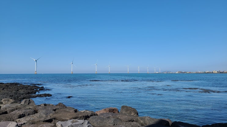 제주 여행 가볼만한곳 제주 서쪽 여행 코스 신창풍차해안도로 And 싱계물공원 네이버 블로그