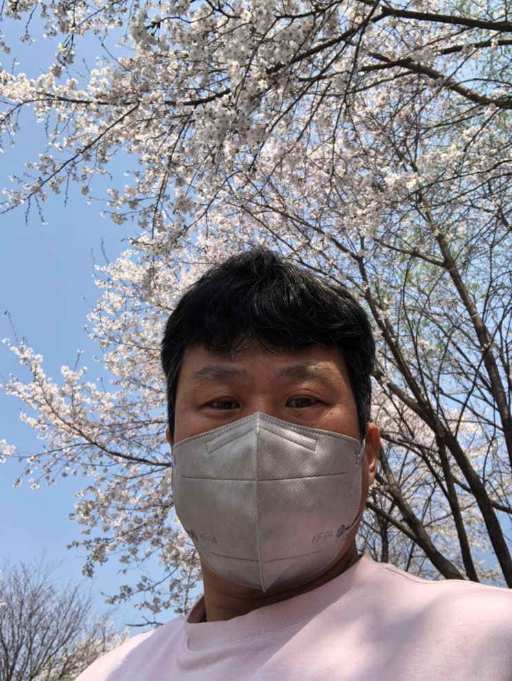 봄나들이 : 네이버 블로그