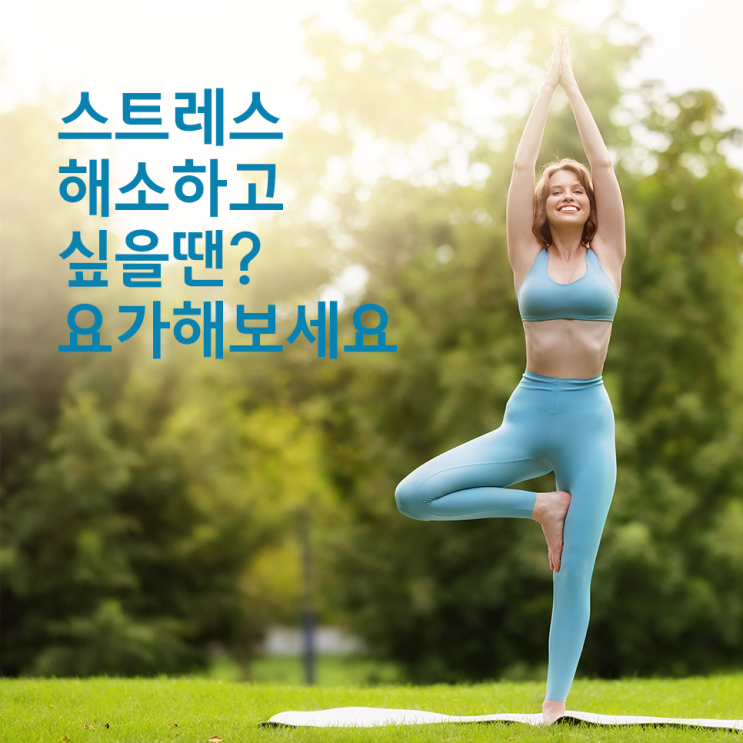 스트레스 해소하고 싶을땐 구파발 요가해보세요 은평요가 지축요가 원흥요가 연신내요가 원당요가 네이버 블로그