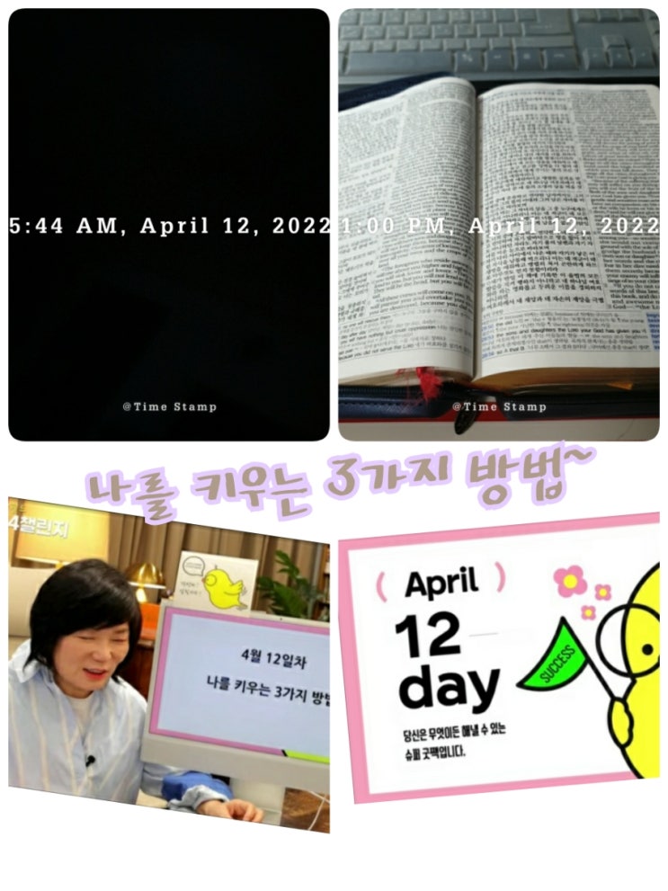 🌈MKYU 김미경과 함께하는 굿짹월드 514챌린지💕 4월 12일차💓 : 네이버 블로그