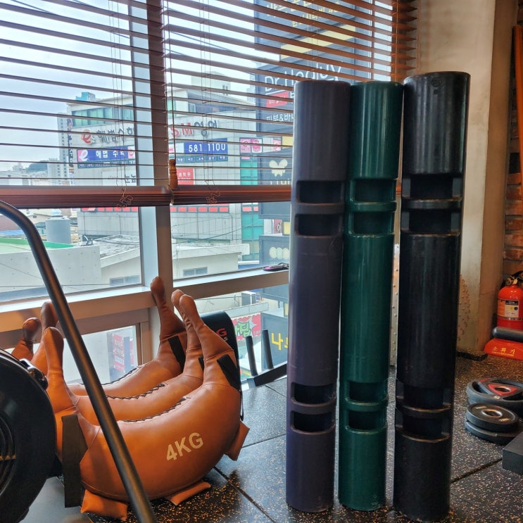 [장전동PT][부곡동PT] 소도구 VIPR(바이퍼) 사용법 : 네이버 블로그