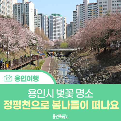 용인 여행 용인시 벚꽃 명소 정평천으로 봄나들이 다녀왔어요~ 네이버 블로그