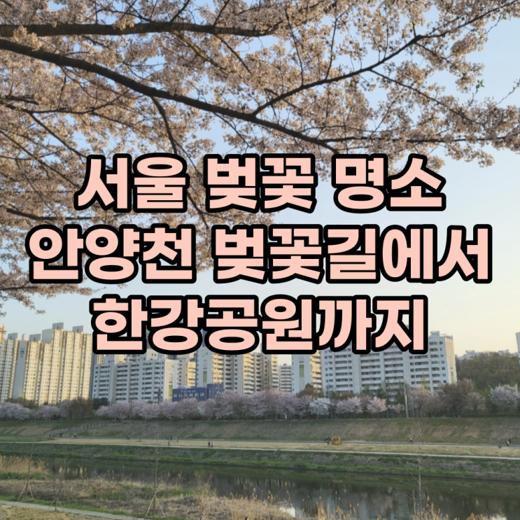 서울 벚꽃 명소 안양천 벚꽃길 자전거 타고 양화한강공원 피크닉 With 주차장 팁 네이버 블로그