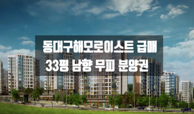 프라하공인중개사 대구 동구 신암뉴타운 해모로스퀘어이스트 무피 33평 남향 분양권 매매 네이버 블로그