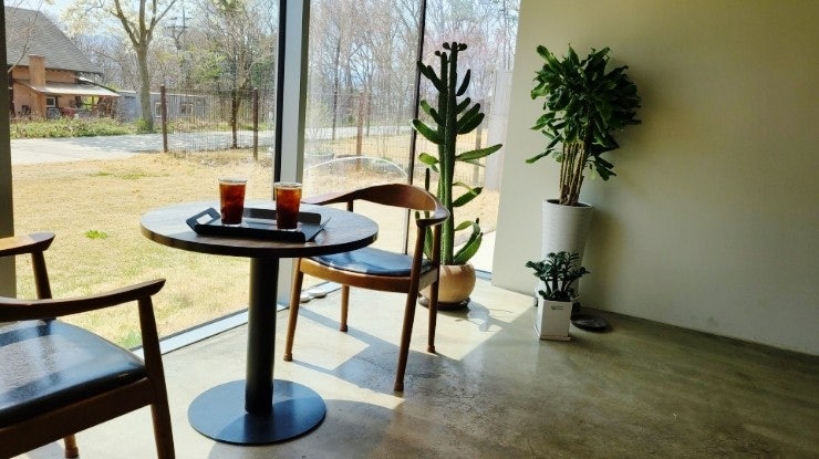 강화도 큰나무 cafe 큰나무캠프힐 : 네이버 블로그