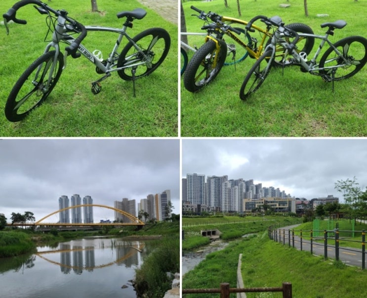 로드자전거 입문용 조립순서 조립방법 봄맞이 천안 곡교천 자전거라이딩 코스 : 네이버 블로그