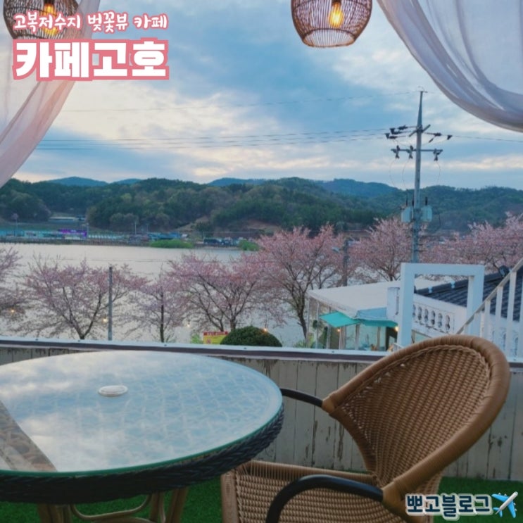 세종 고복저수지드라이브 벚꽃뷰카페 카페고호 저수지뷰 네이버 블로그
