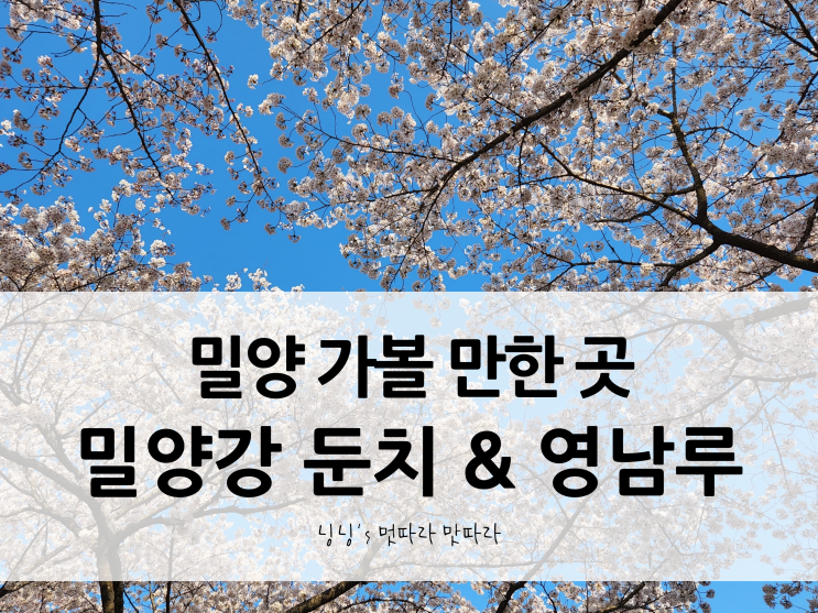경남 밀양 벚꽃 봄나들이 명소 2 밀양강 둔치삼문수변공원 And 영남루 벚꽃 터널 산책하기 좋은 곳 네이버 블로그
