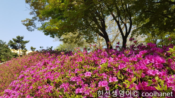 2022년 3월 고1 모의고사 31 33번 빈칸추론문제 송파 강동 중등부 중고등영어학원 한선생 내신지문분석 주제 제목 요지