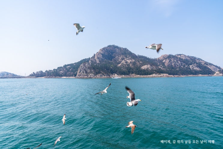 군산 선유도 유람선 갈매기와 함께 한 고군산군도 돌아보기 네이버 블로그