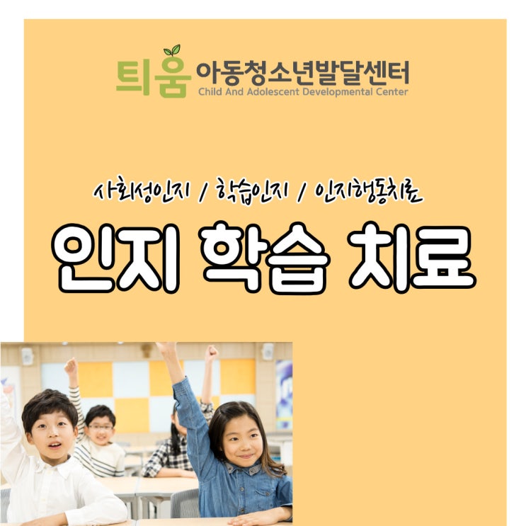 강남틔움아동발달센터 인지학습치료 사회성인지 기초인지 네이버 블로그