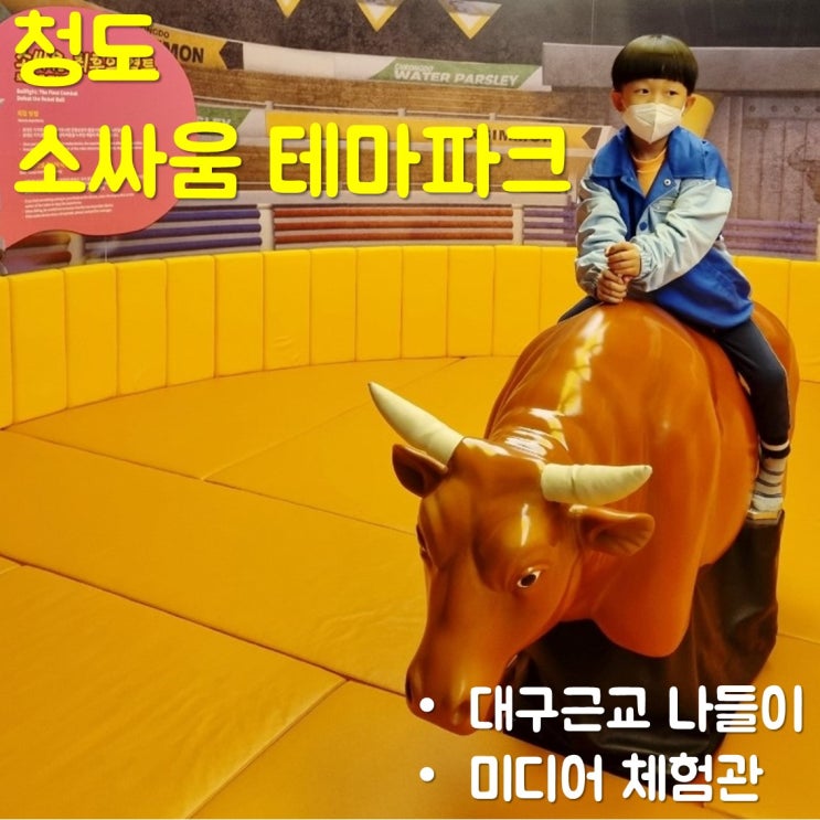 대구근교 청도 소싸움 테마파크 미디어 체험관 네이버 블로그