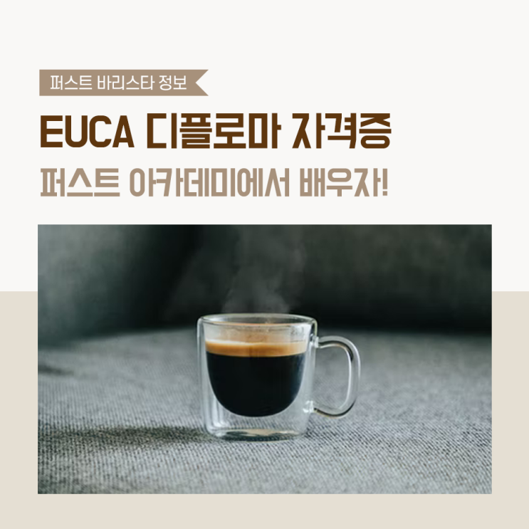 EUCA 디플로마 자격증 너도 할 수 있어! : 네이버 블로그