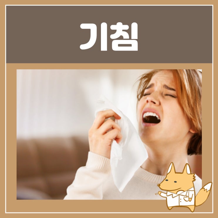기침약 뮤코펙트정 프리비투스 코푸정 기침 멈추는법 밤에 기침 많이할때 네이버 블로그