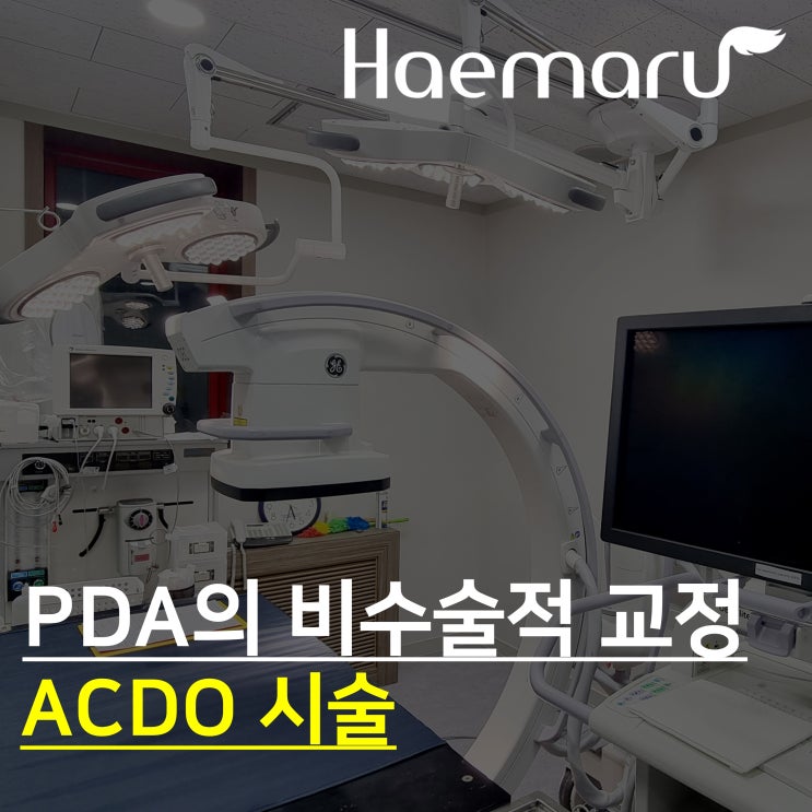 강아지 PDA 비수술적 교정, ACDO 시술 사례 (해마루 동물병원) : 네이버 블로그