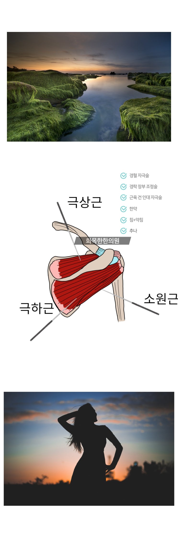대전어깨한의원 극하근 극하근건염 견갑상신경 찢어질듯한어깨아픔통증 어깨결림 어깨통증이발생하는이유 네이버 블로그