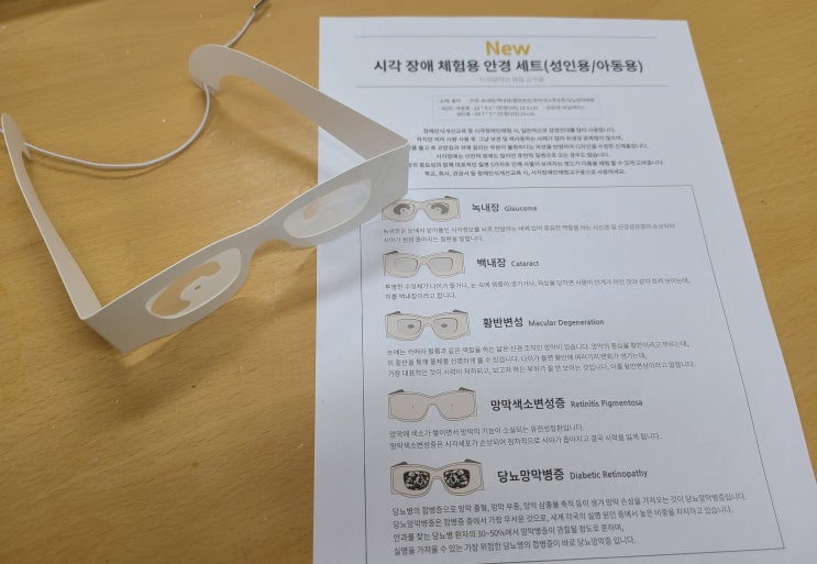2111 장애이해교육 장애인식개선교육을 위한 시각장애 체험용 안경 세트 휠체어 3d 입체퍼즐 소개 네이버 블로그