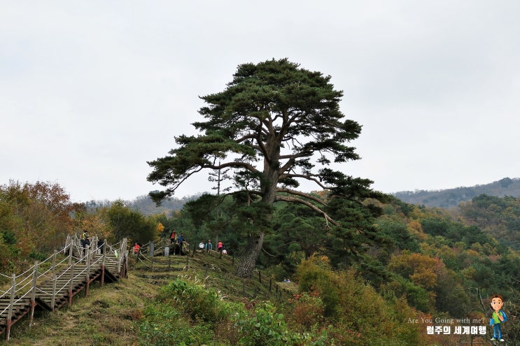 지리산 뱀사골 계곡 둘레길 3코스 초보등산 여행 가을 단풍 명소 : 네이버 블로그