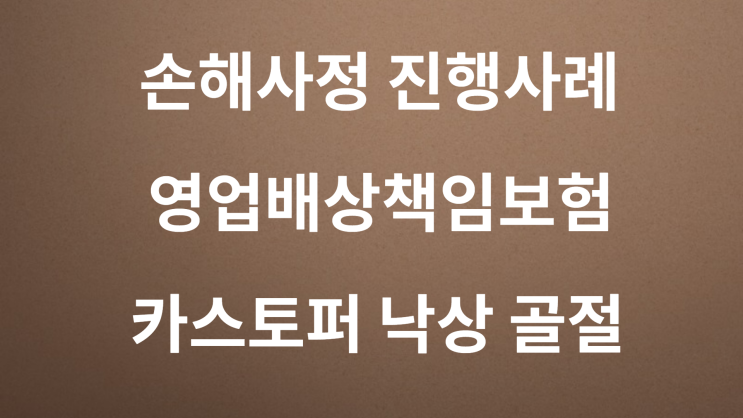 영업배상책임보험 손해사정 사례 백화점 주차장 카스토퍼 낙상 후 상완골 근위부 골절 네이버 블로그