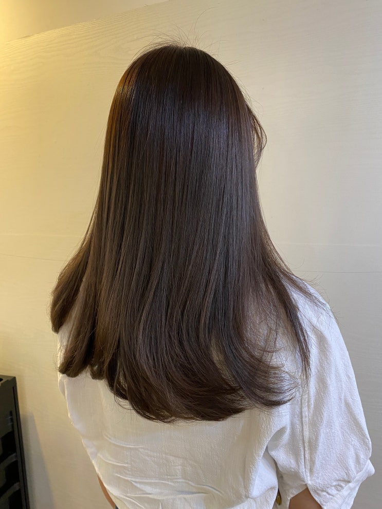 신내동미용실 살롱드뉴욕 애쉬 빛 은은한 브라운으로 지저분한 머리 톤 맞추기 네이버 블로그
