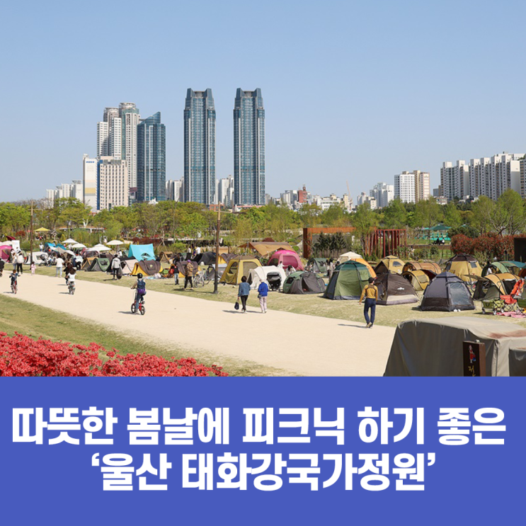 따뜻한 봄날에 피크닉 하기 좋은 울산 태화강국가정원 네이버 블로그