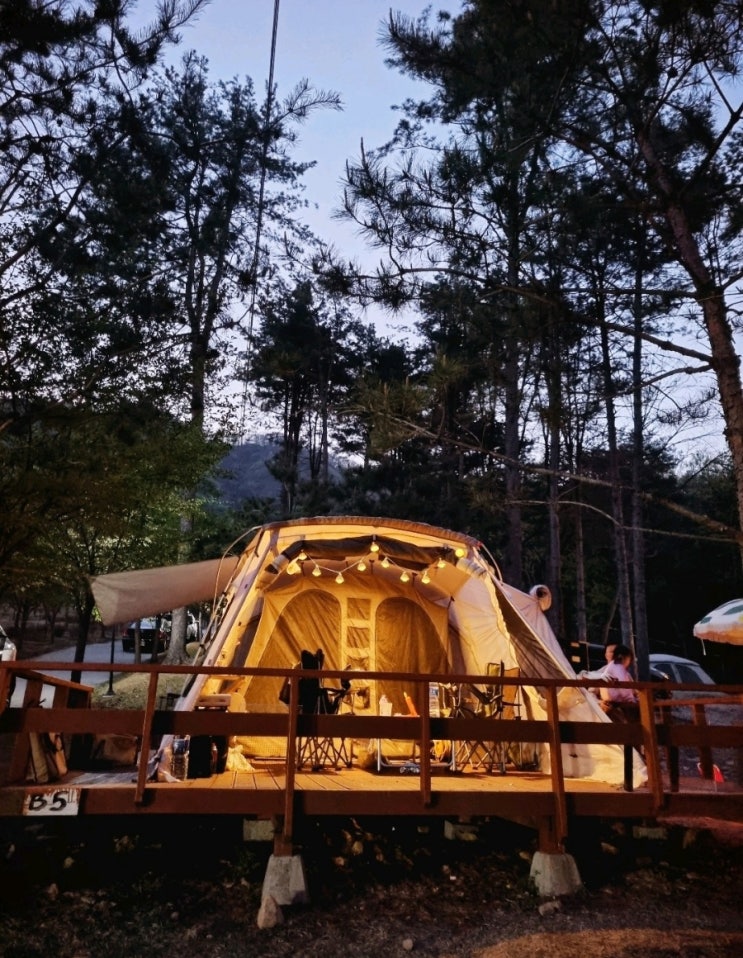 경기도캠핑장 추천 포천가래골캠핑장에서 캠핑복귀 알프스b구역 5데크 후기 그리고 소나무데크 산책 네이버 블로그
