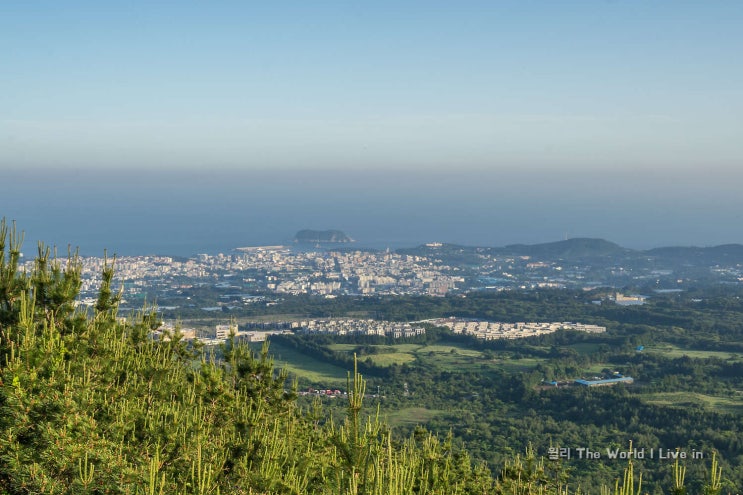 5월 제주도 가볼만한곳 제주도 오름 추천 제주 한달살기 숨은 명소 서귀포 여행 솔오름 네이버 블로그