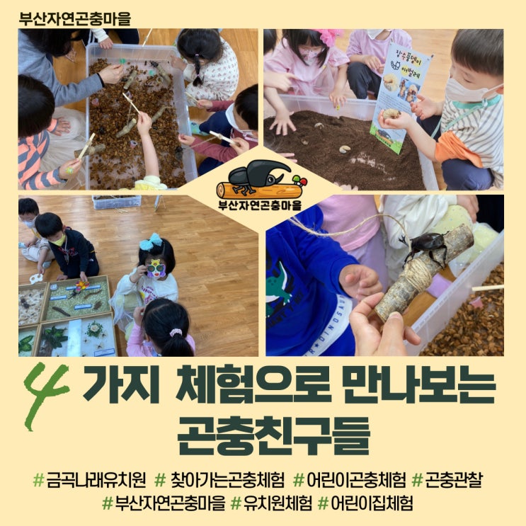 부산 어린이 곤충체험유치원 곤충체험 금곡나래유치원 친구들과 곤충체험을 진행하고 왔어요 네이버 블로그