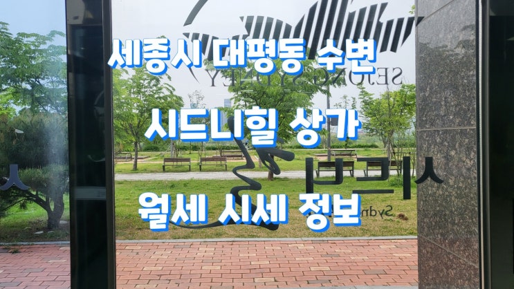 세종시 대평동 금강 수변 상가 시드니힐 상가 월세 시세 정보 네이버 블로그