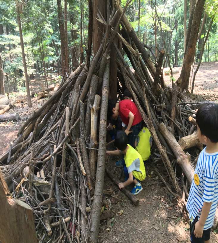 [부산 초읍동 예종유치원] 숲과 아이들의 행복한 만남, 그리고 설레임 : 두번째 이야기 : 네이버 블로그