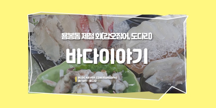 광주 용봉동 맛집 바다이야기회포장마차 제철 회 먹고 왔어요feat갑오징어 회 도다리 회 네이버 블로그