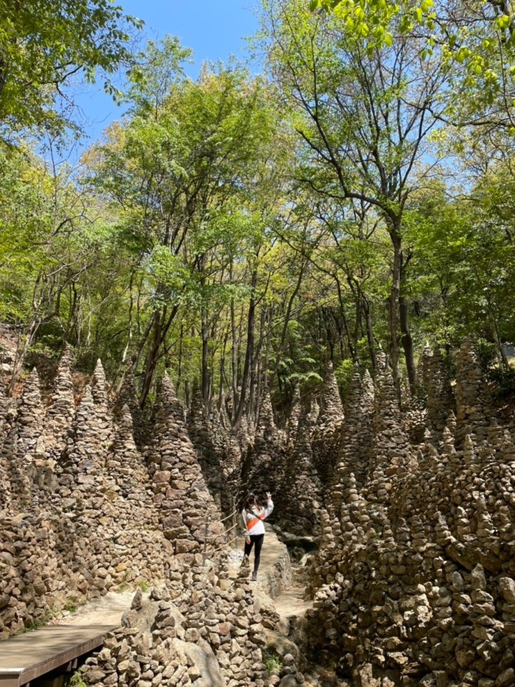 [창원]등산 / 팔용산(돌탑공원-정상-수원지) : 네이버 블로그