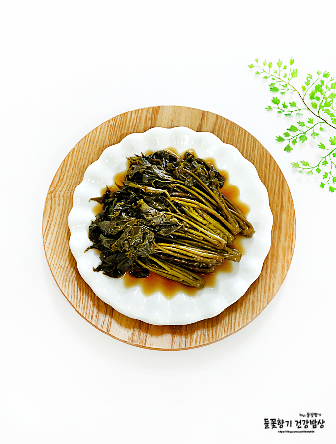 엄나무순장아찌 만드는법 엄나무순 요리 개두릅장아찌 네이버 블로그