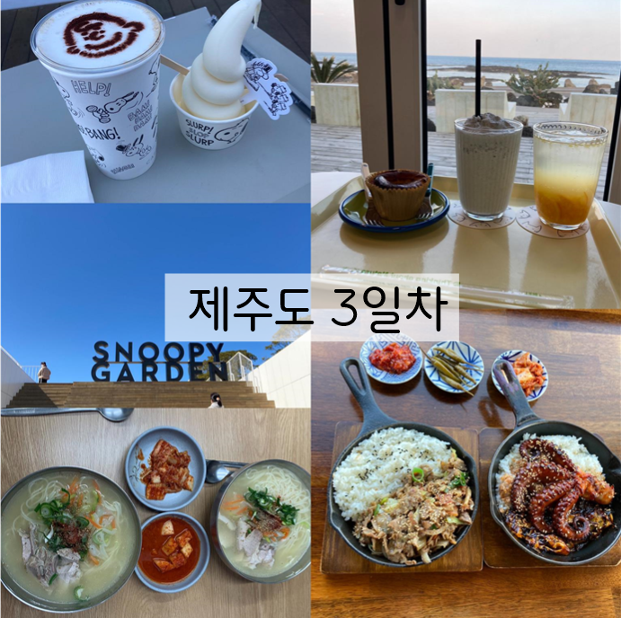③ 제주도 2박 3일 뚜벅이 여행 코스 마지막 날 뱅디월정리 흙먹는고양이 스누피가든 동진식당 네이버 블로그