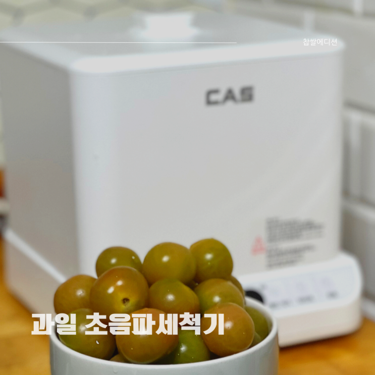 과일세척기 가정용초음파세척기 카스 실사용 후기 네이버 블로그