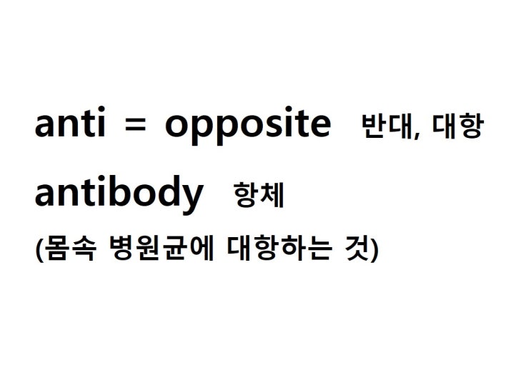 접두사 anti = opposite 반대, 대항 (antibody 몸속 병원균에 대항하는 것 = 항체) : 네이버 블로그
