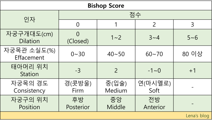 Bishop Score란? (비숍 스코어) : 네이버 블로그