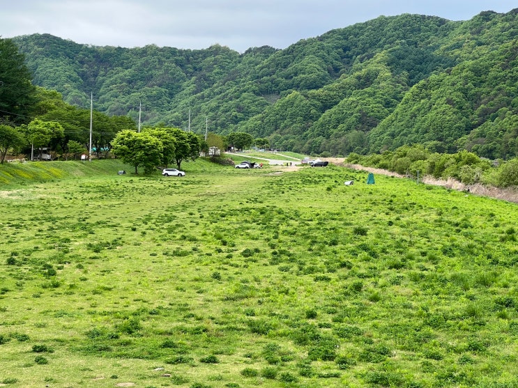 충남 금산 노지 캠핑장 차박 추천 적벽강 오토캠핑장 주변 노지 총정리 네이버 블로그