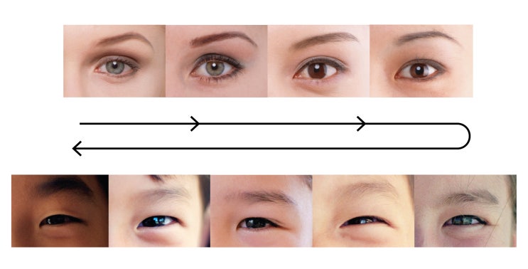 9. The classification of the epicanthus : relationship between ...