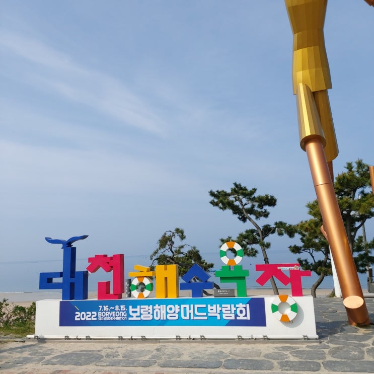 충청남도 오랜만에 바다 나들이를 갔어요🏝️ 보령 해저터널 원산도 대천해수욕장 짚스카이라운지 남당항 광천전통시장