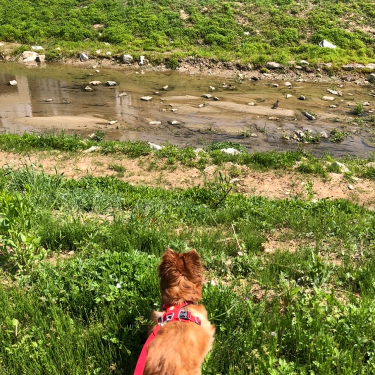 [22.4.29~22.5.1] 우당탕탕 바쁘다바빠 현대사회 : 네이버 블로그