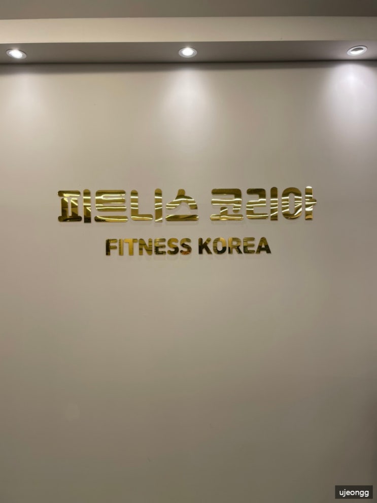 피트니스코리아 문현점국제금융센터 부산 전포 헬스장 추천 300평대 프리미엄 휘트니스 내돈내산 헬스장 네이버 블로그