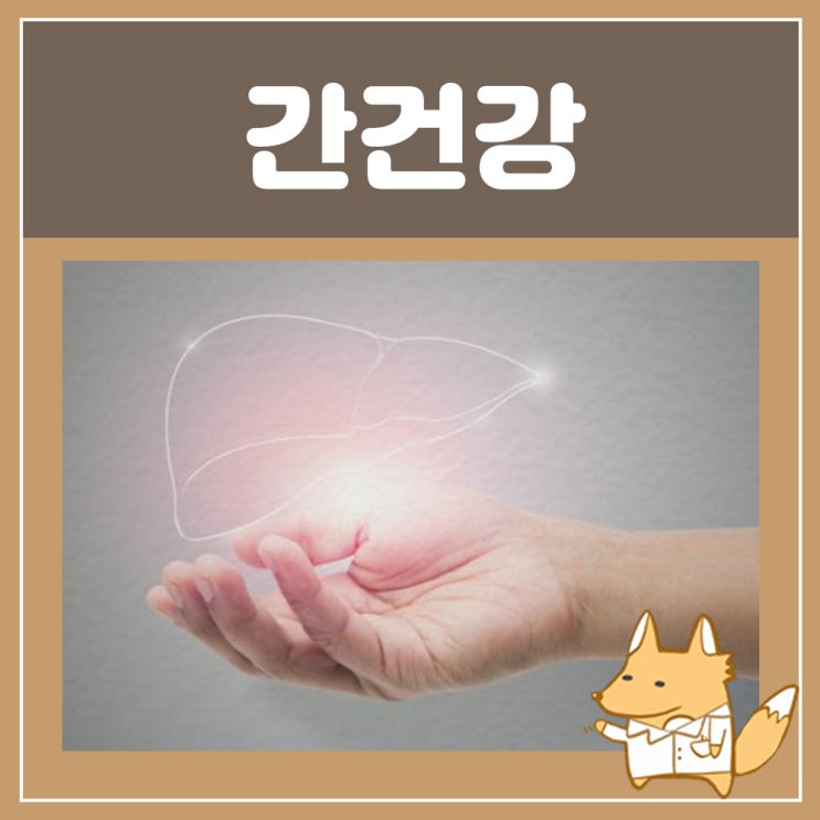 정상 간수치 감마지티피 Ast Alt Alp 수치 횡문근융해증 소변 냄새 색깔 소변색이 탁해요 네이버 블로그