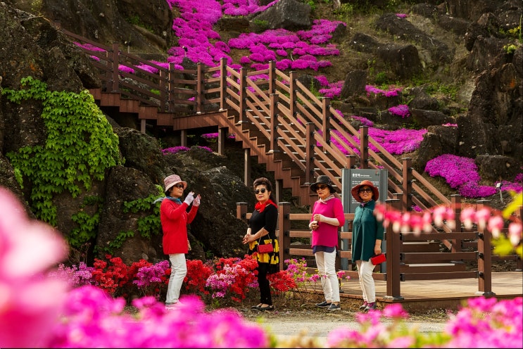 친구와 함께 옥천 가볼 만한 곳 유채꽃 돌팡깨 부소담악 로컬푸드 네이버 블로그