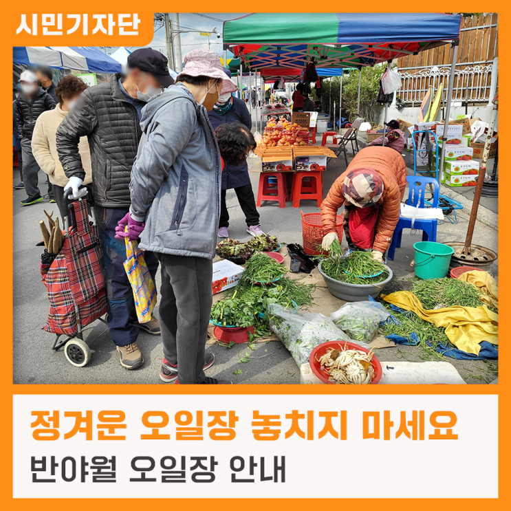 반야월 시장으로 1일 6일 오일에 한번 장 보러 가요 네이버 블로그